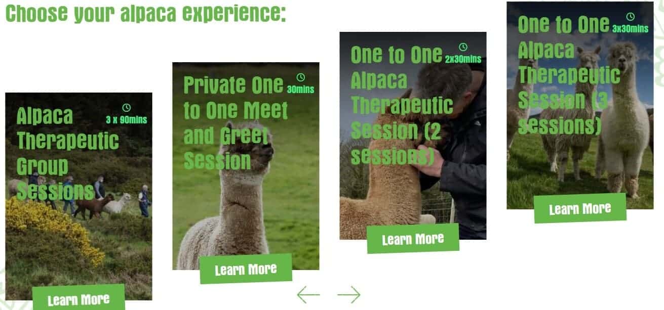 K2ALPACA Farm & Stud - Therapeutic Trek with the Alpaca's - MCS Case ...